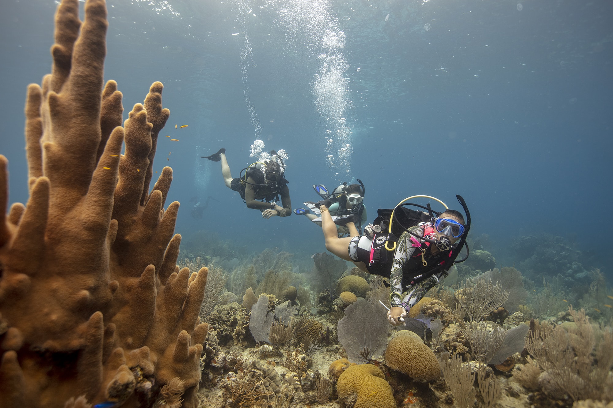 Scuba Diving Adventures at Plantation Island Resort